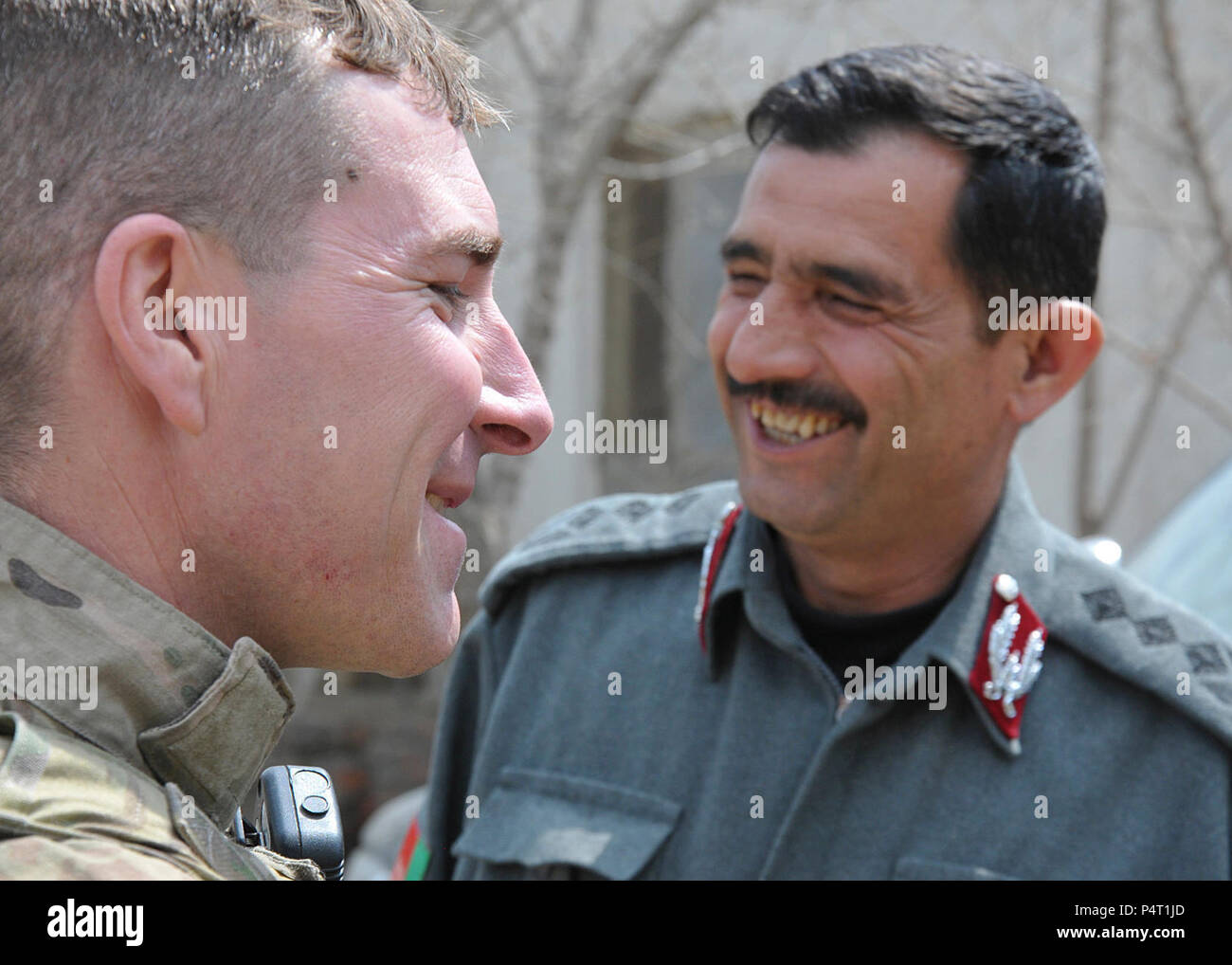 Cujo hi-res stock photography and images - Alamy