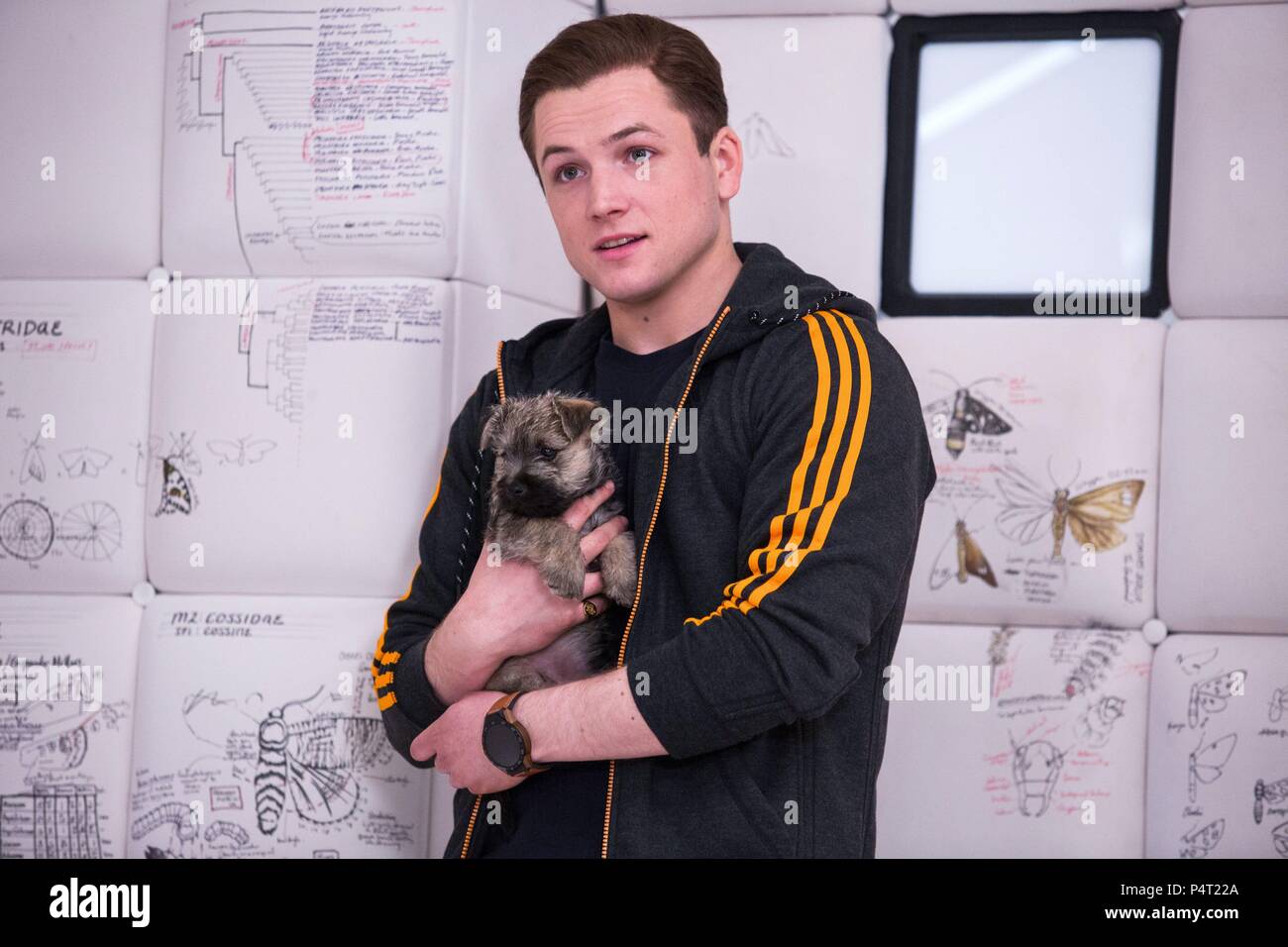 Original Film Title: KINGSMAN: THE GOLDEN CIRCLE. English Title ...