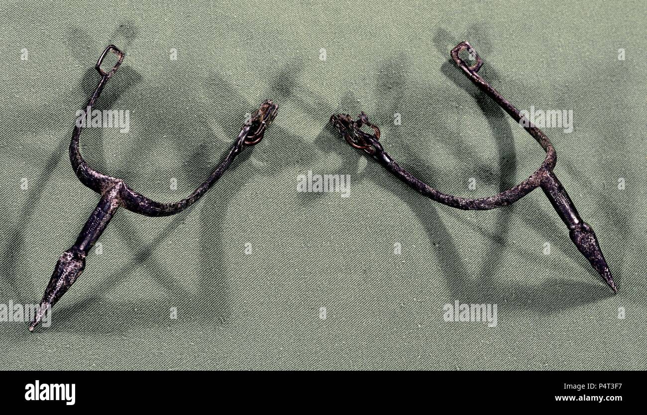 Acicate hi-res stock photography and images - Alamy