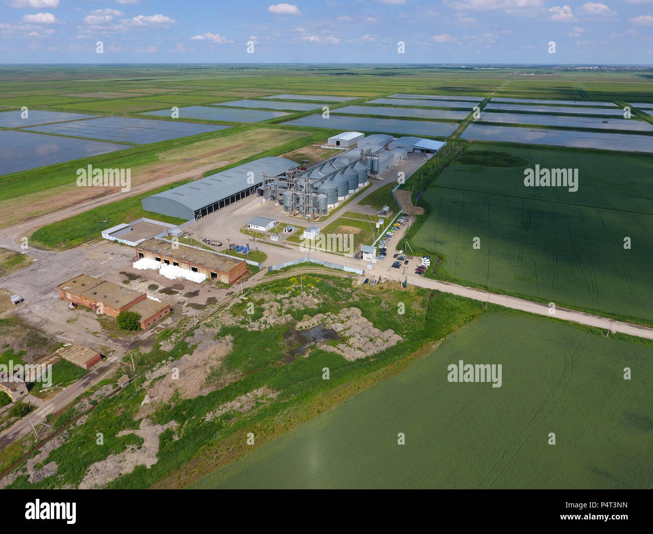 Grain terminal. Plant for the drying and storage of grain. Rice plant ...