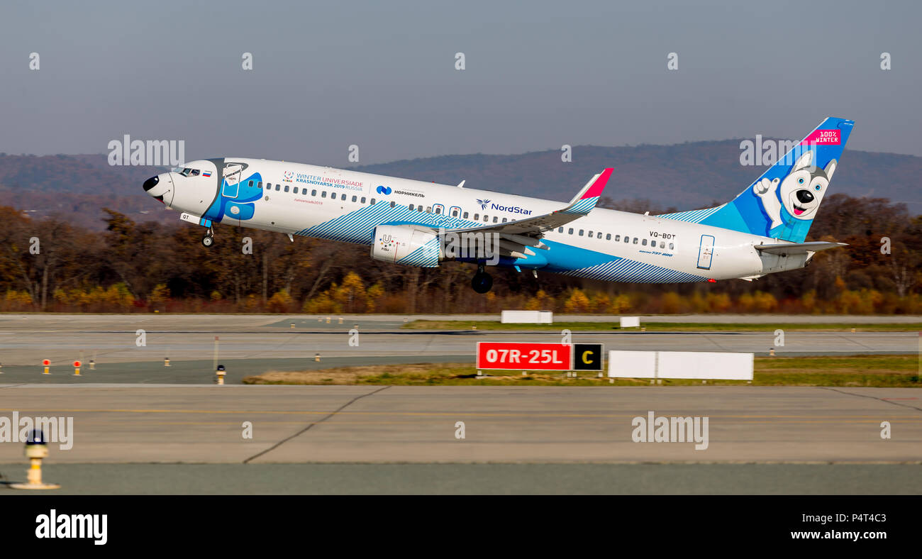 Can Huskies Fly On Planes