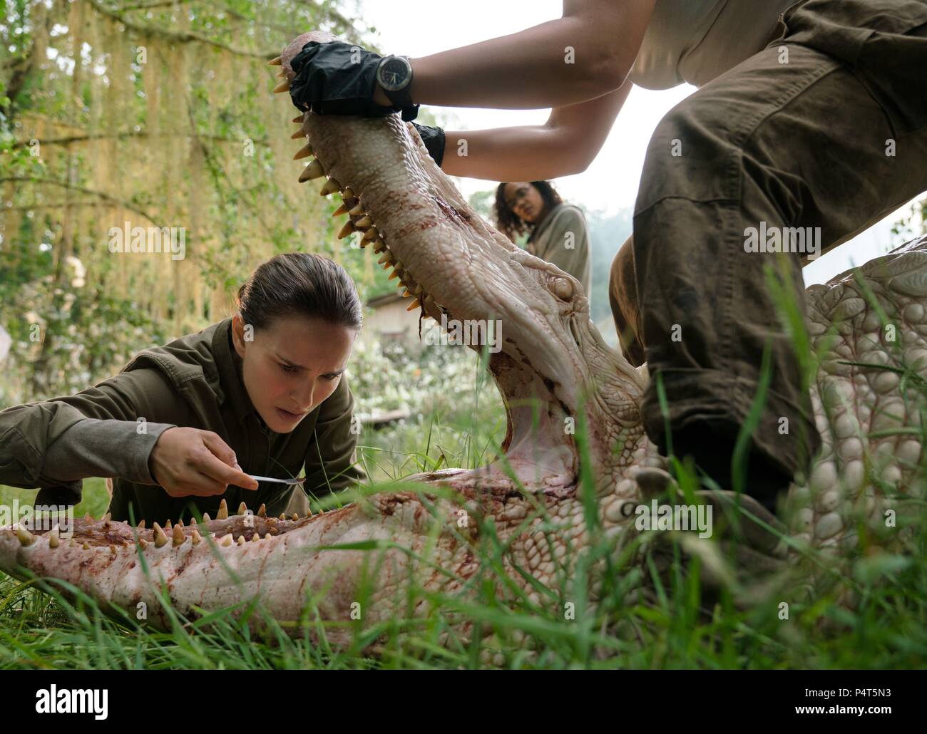 Original Film Title: ANNIHILATION. English Title: ANNIHILATION. Film ...