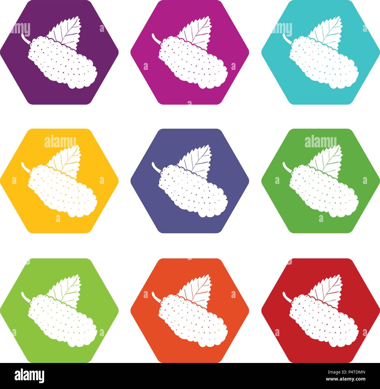 Mulberry icons set 9 vector Stock Vector Image & Art - Alamy