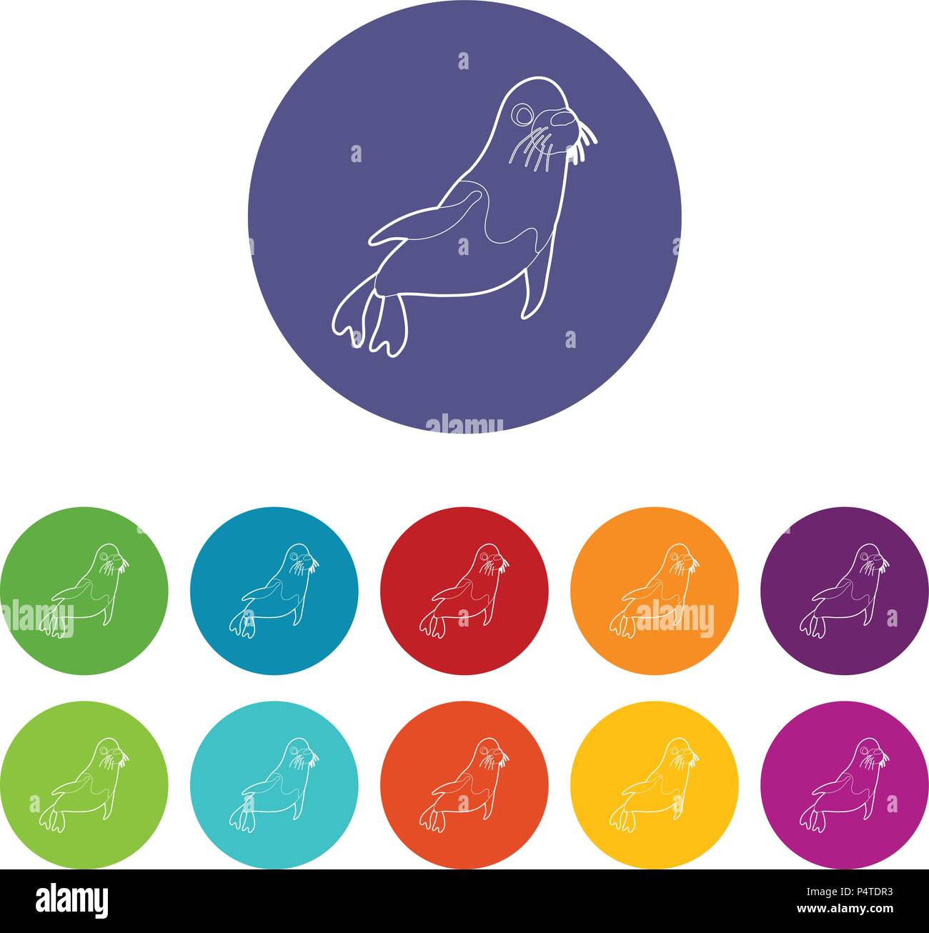Fur seal icons set vector color Stock Vector Image & Art - Alamy