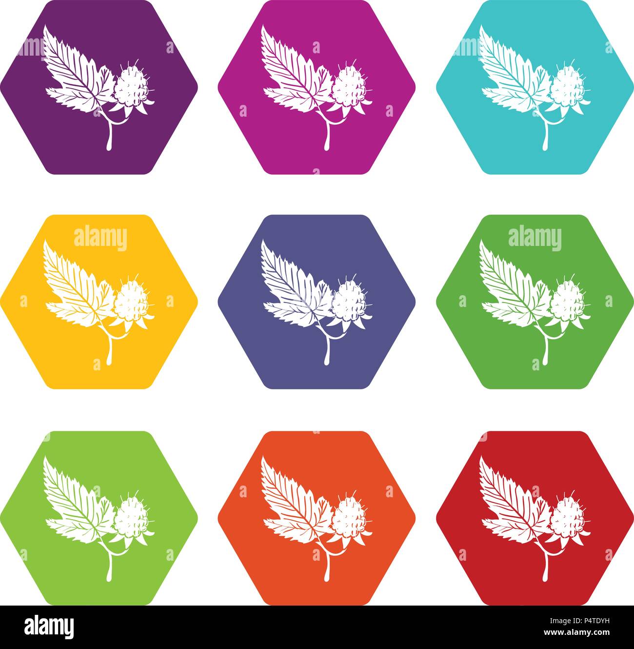 Raspberry icons set 9 vector Stock Vector Image & Art - Alamy