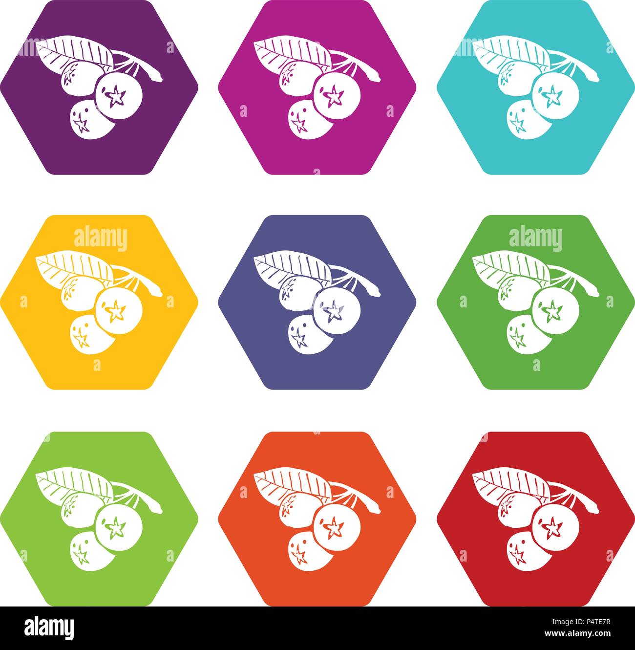 Blueberry icons set 9 vector Stock Vector Image & Art - Alamy