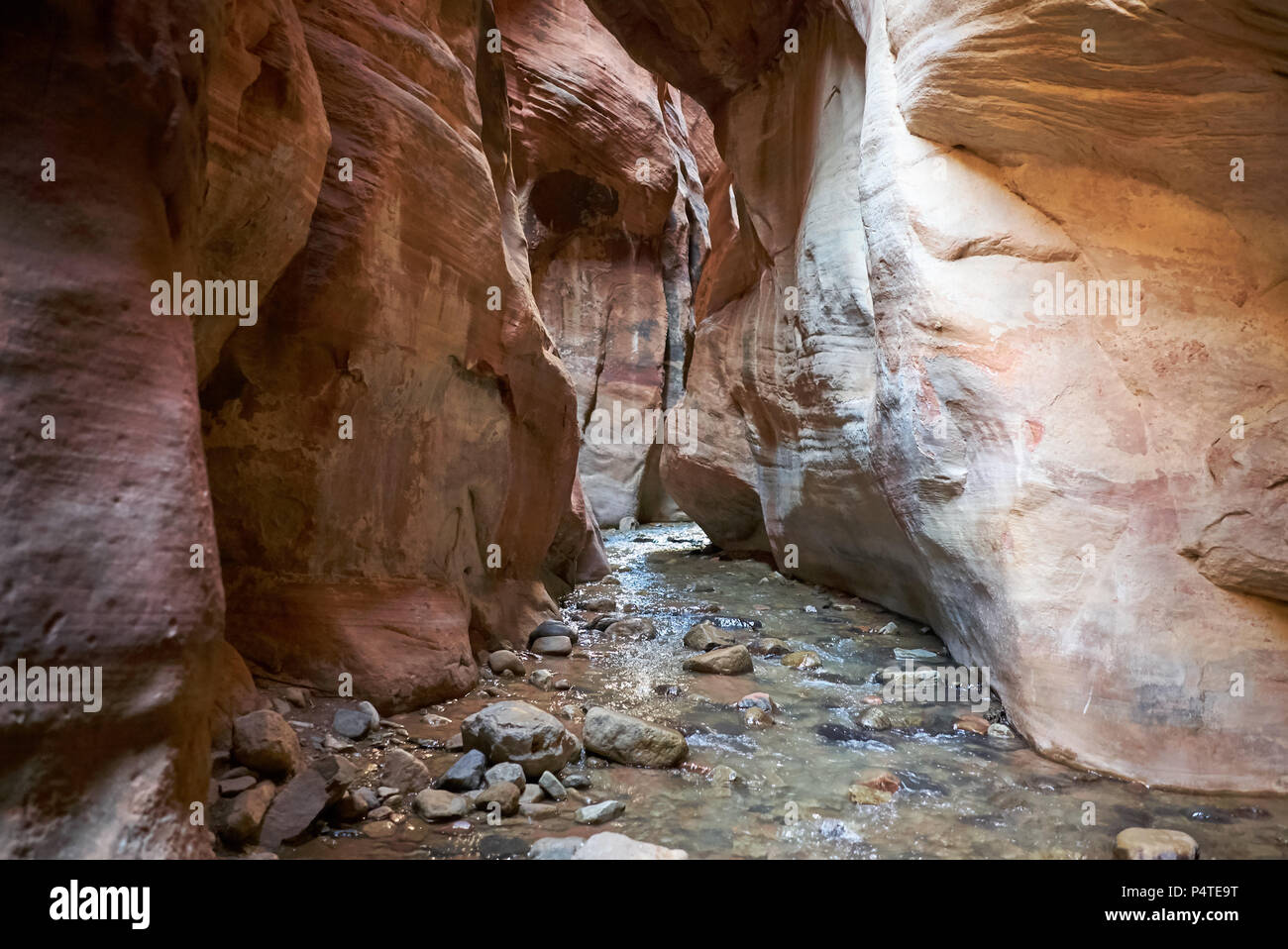 Inside the Canyon Walls Stock Photo - Alamy