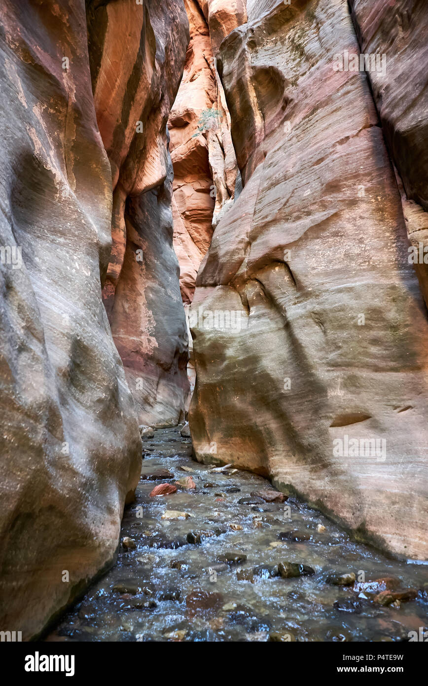 Inside the Canyon Walls Stock Photo - Alamy