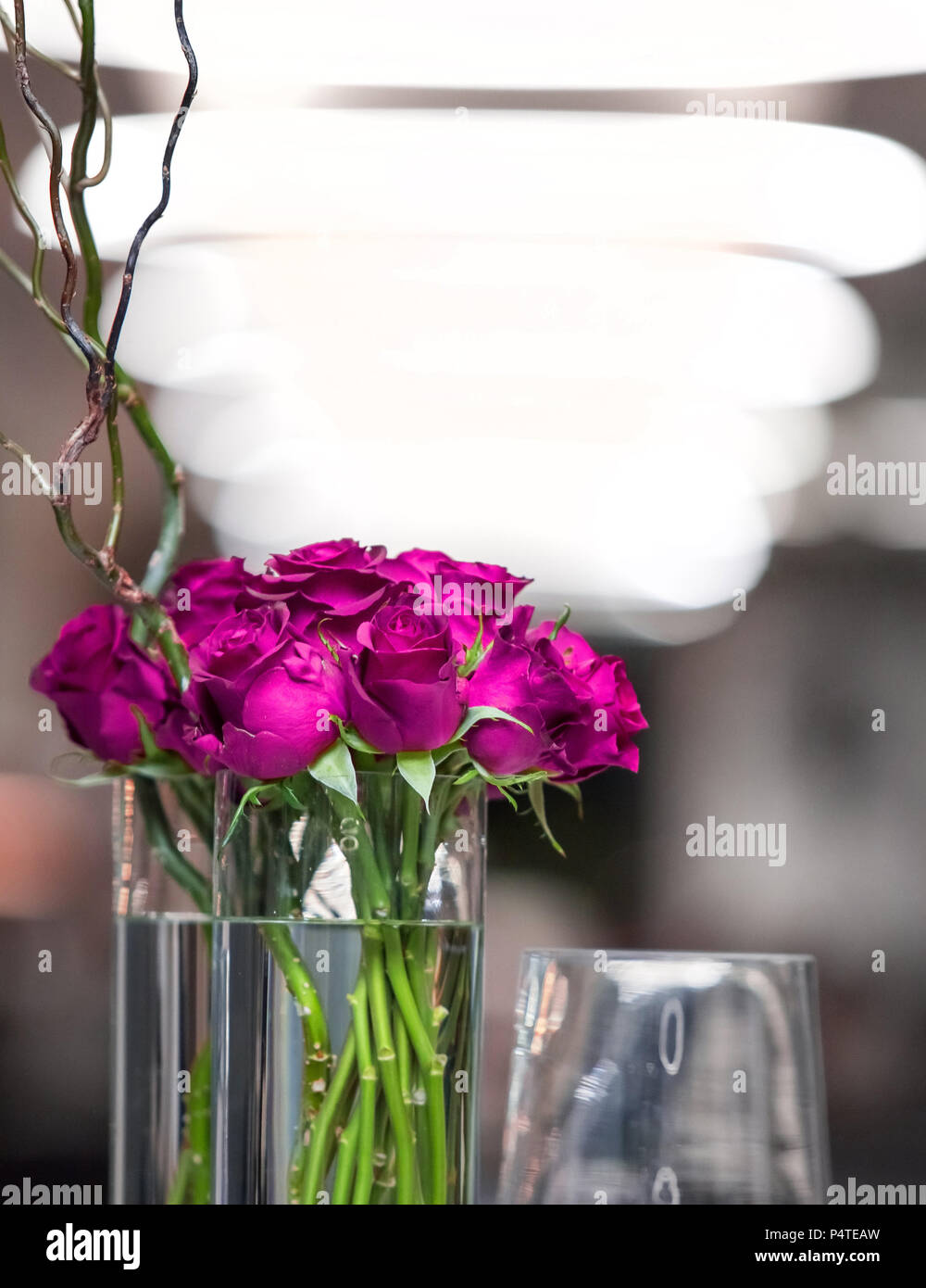 Roses on display in a glass vase Stock Photo - Alamy