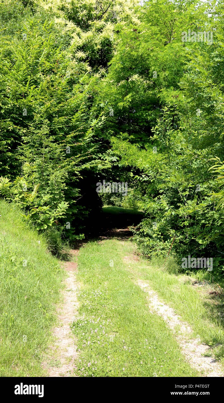 Narrow road passes through hi-res stock photography and images - Alamy