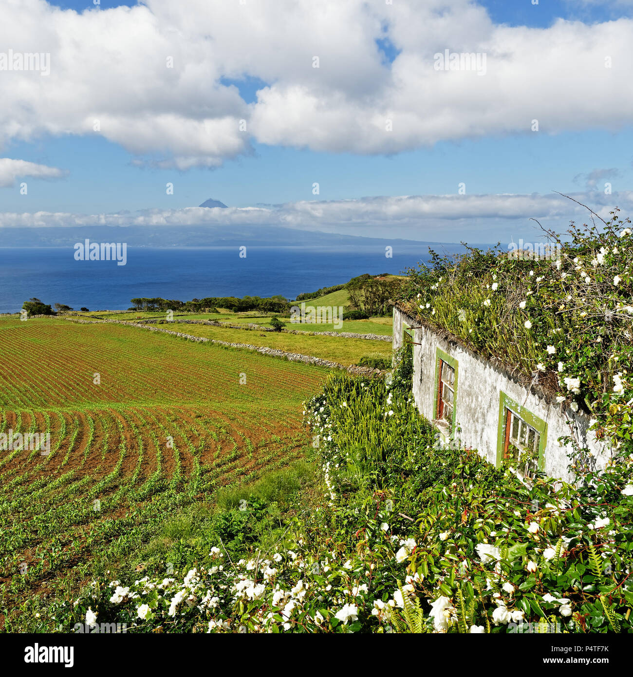 Pico house hi-res stock photography and images - Alamy