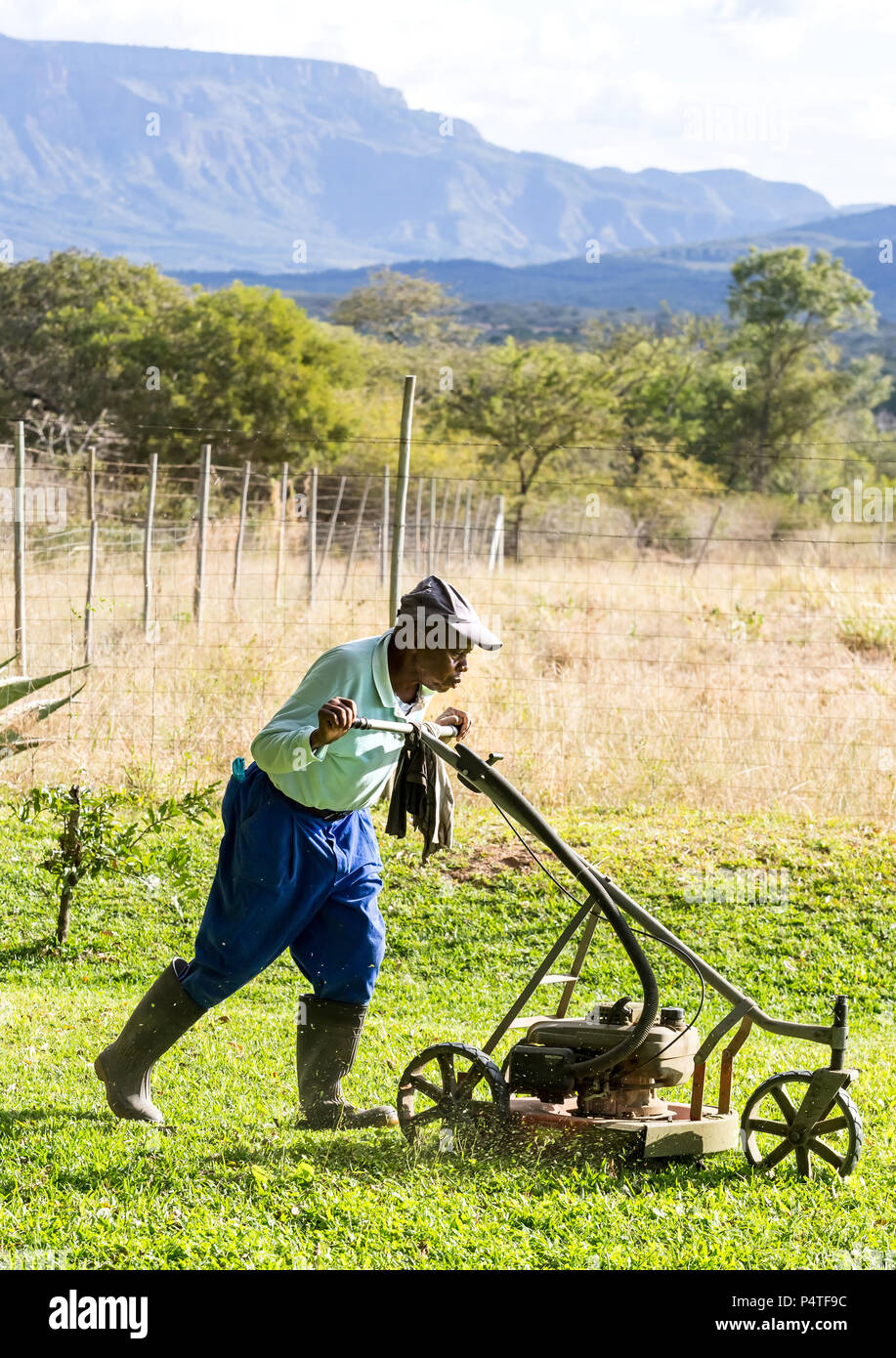 Man pushing lawnmower hi-res stock photography and images - Alamy