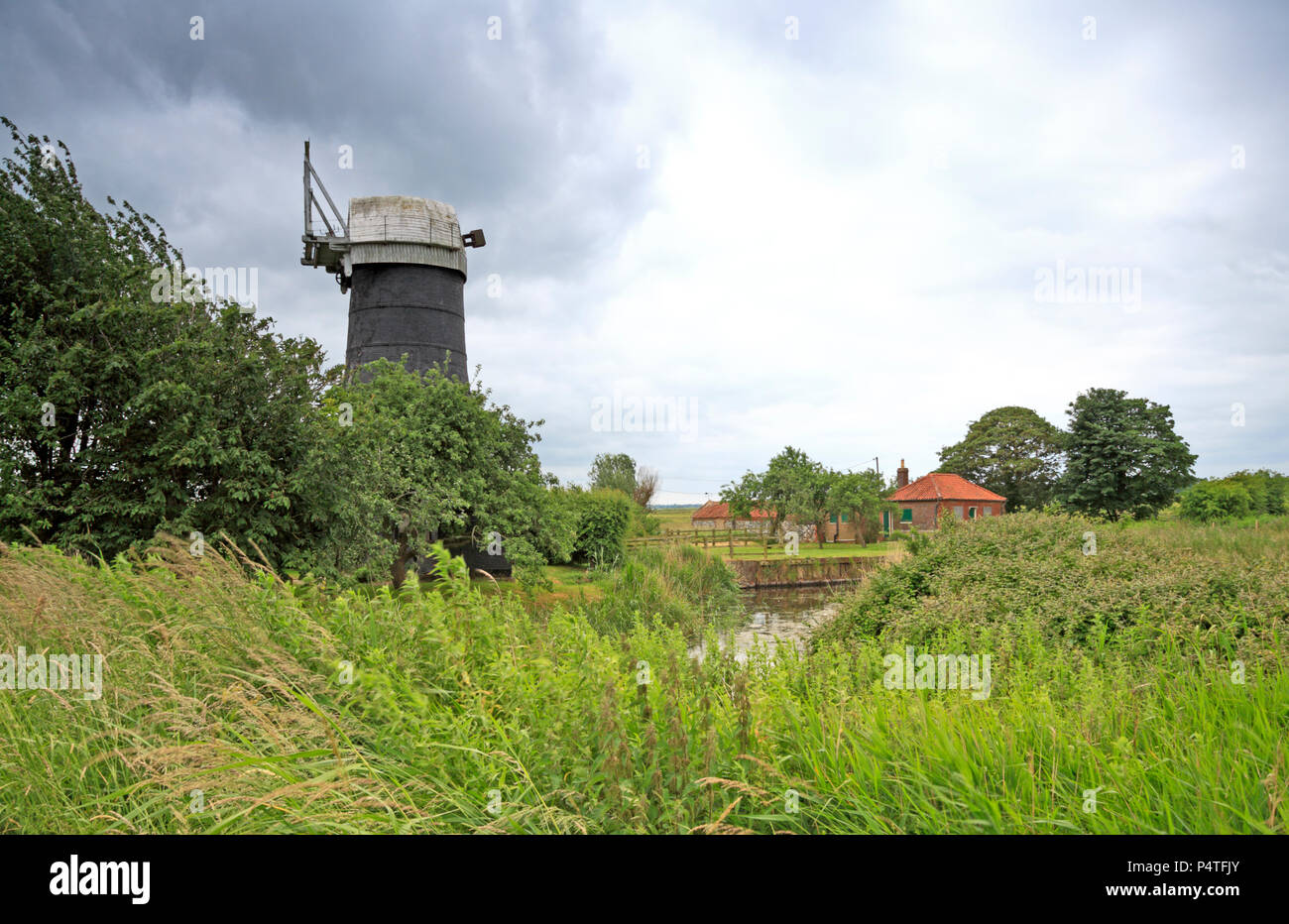 Drainage of habitat hi-res stock photography and images - Alamy
