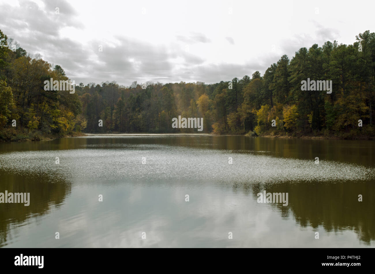 Trees around lake Stock Photo - Alamy