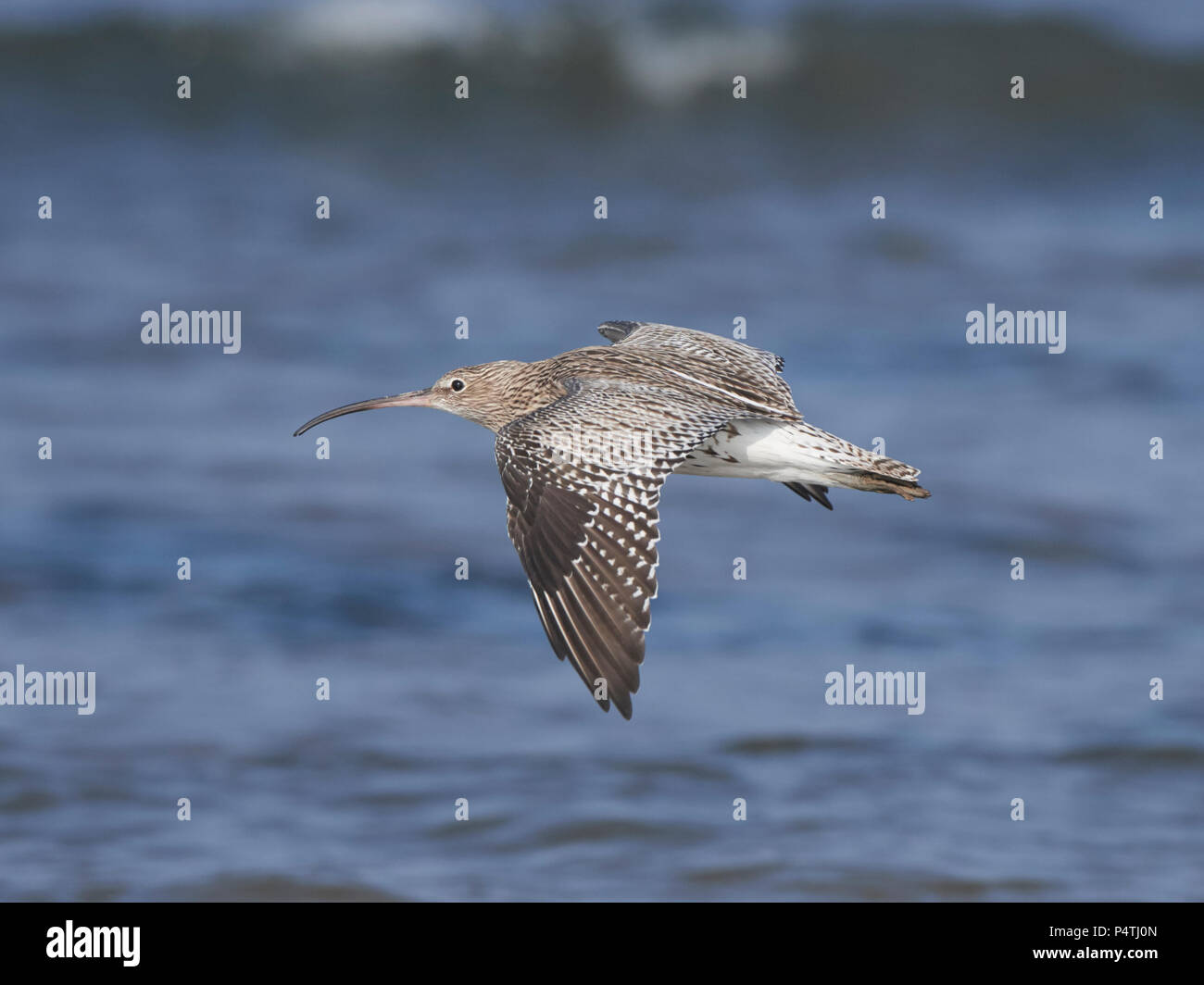 Numinous hi-res stock photography and images - Alamy