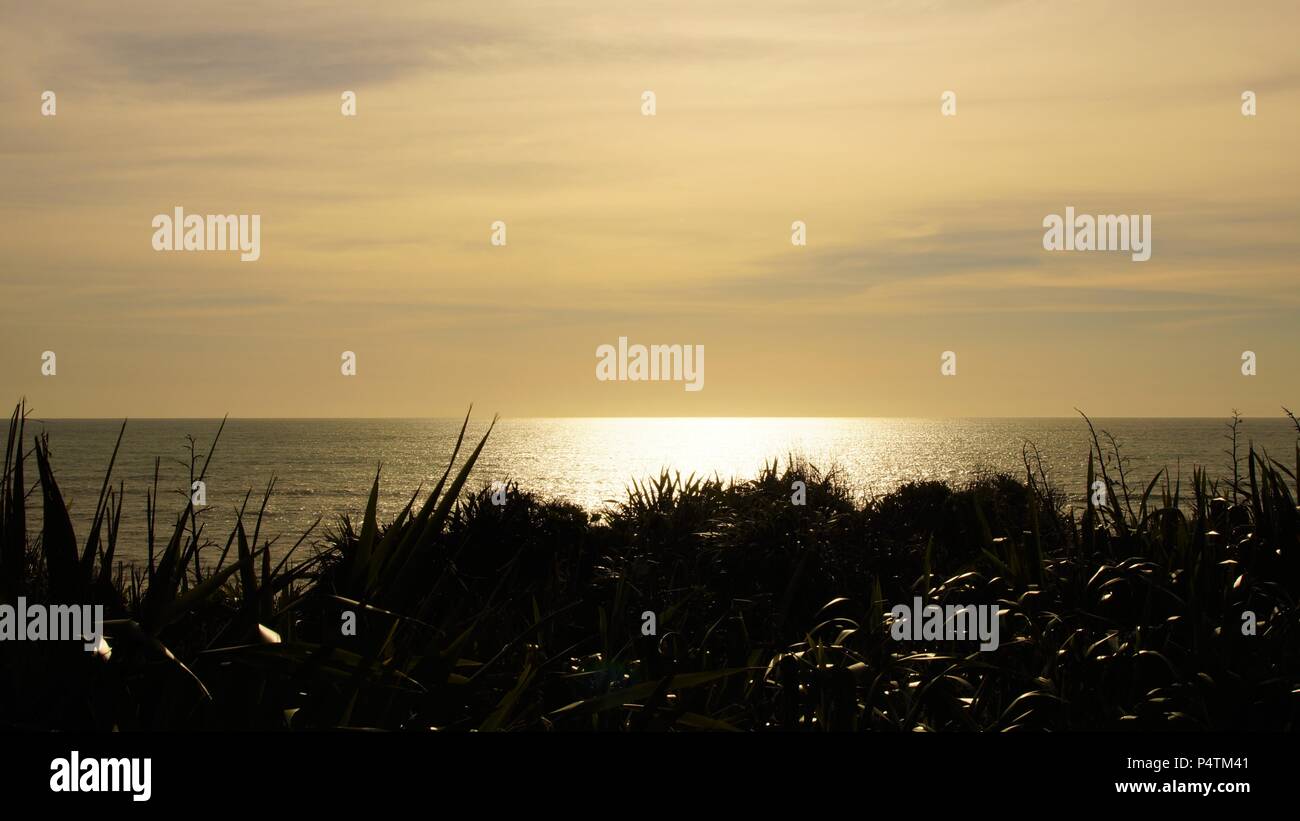 new zealand sunlight Stock Photo - Alamy
