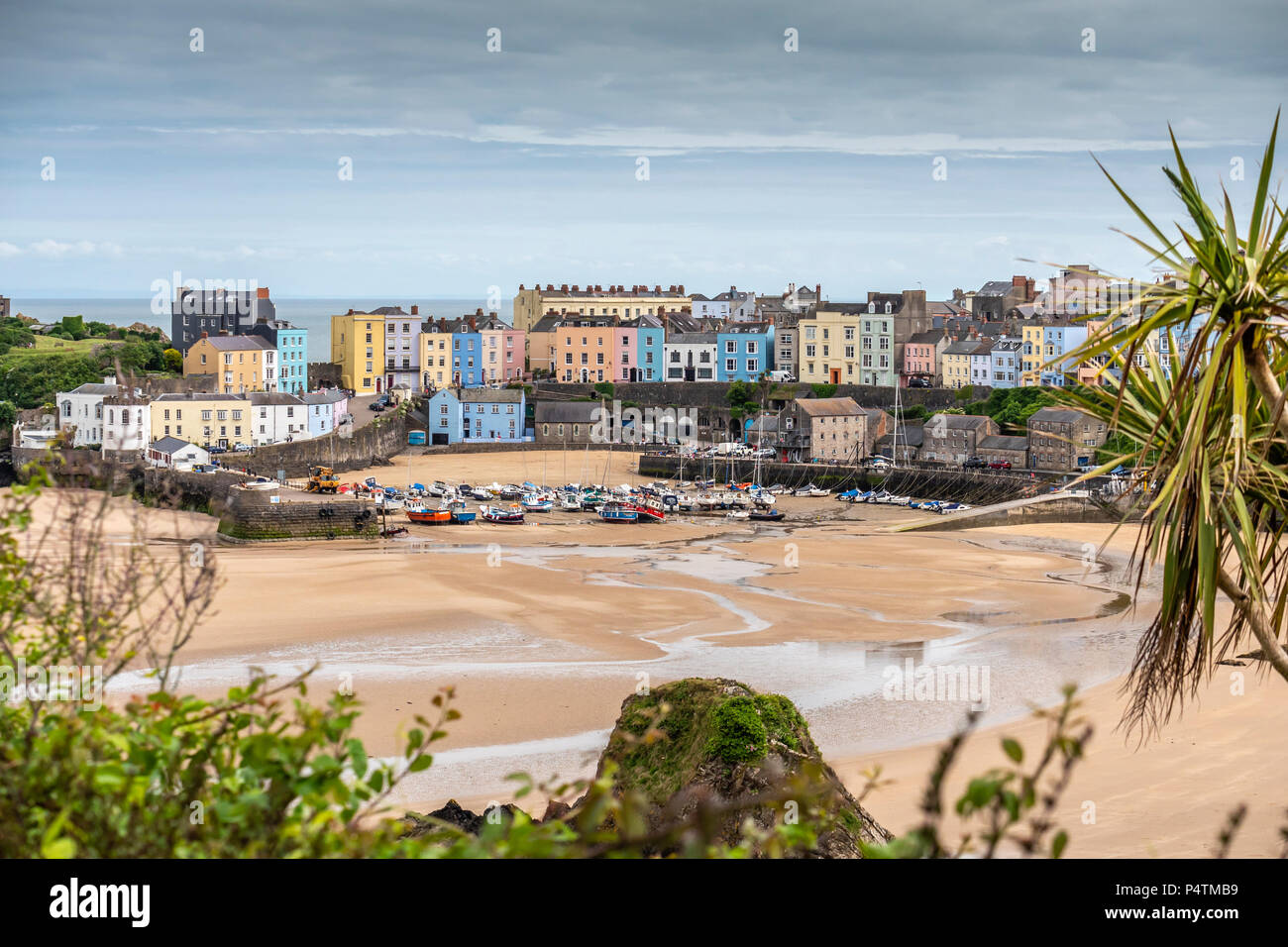 Tenby Harbour & Goscar Rock on North beach Tenby Pembrokeshire Wales ...