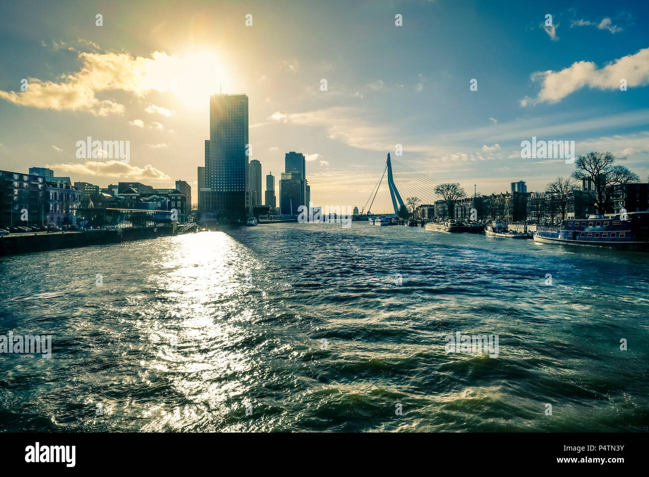View on the river Maas, Rotterdam. Color shift by intent Stock Photo ...