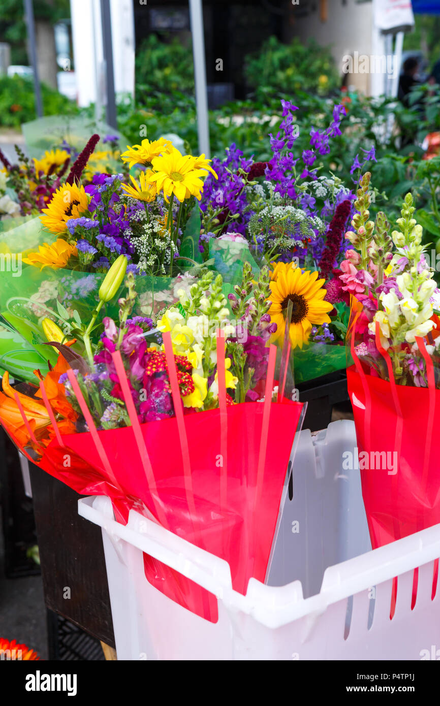 Gardening with local flowers hi-res stock photography and images - Alamy