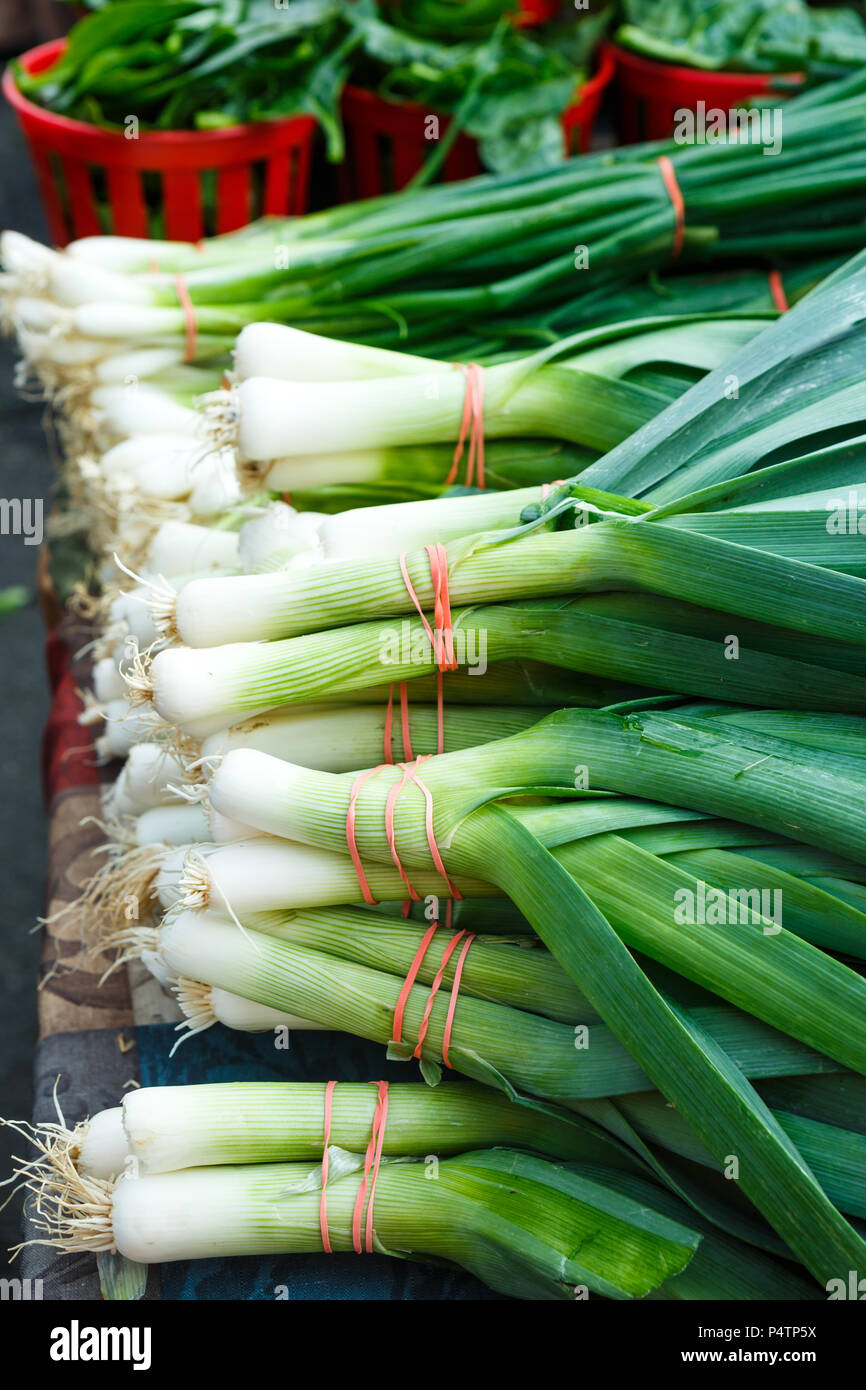 Bunches spring onions hi-res stock photography and images - Alamy