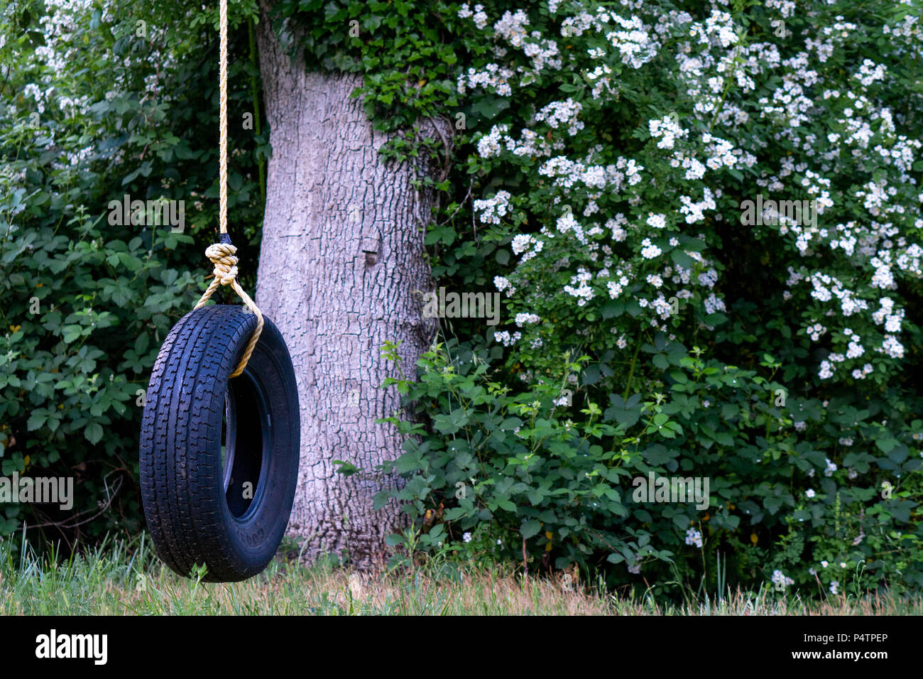 Tire Swing High Resolution Stock Photography and Images - Alamy