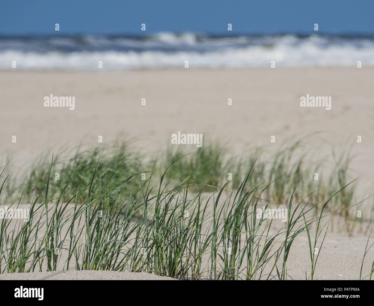 at the North sea Stock Photo - Alamy