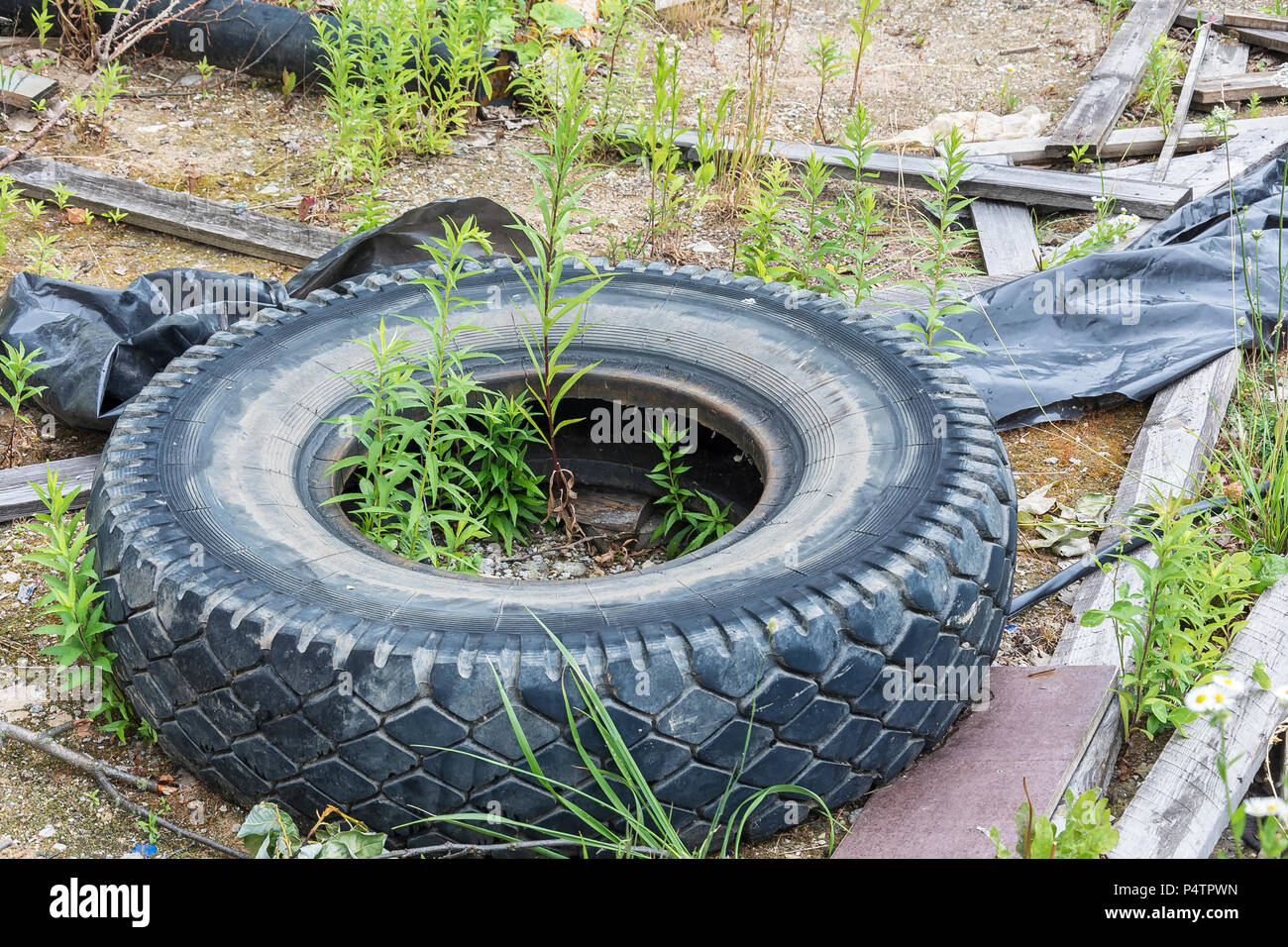 Wheel of a garbage hi-res stock photography and images - Alamy