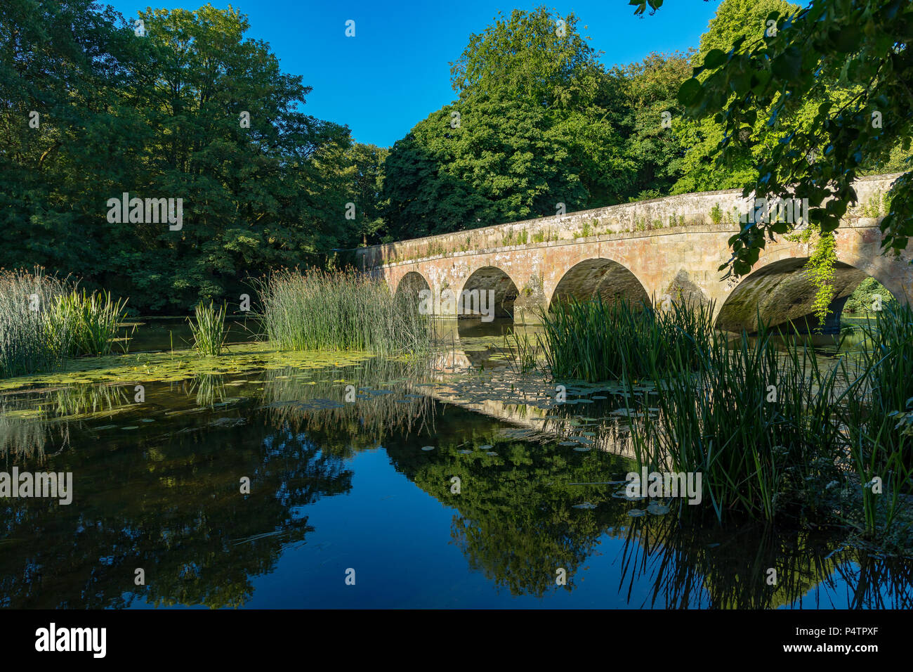 Blandford forum river hi-res stock photography and images - Alamy