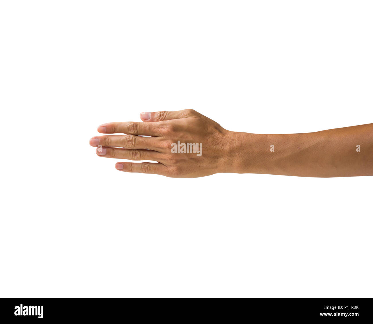 Stop Hand Gesture Female Hand Stock Photos & Stop Hand Gesture Female ...