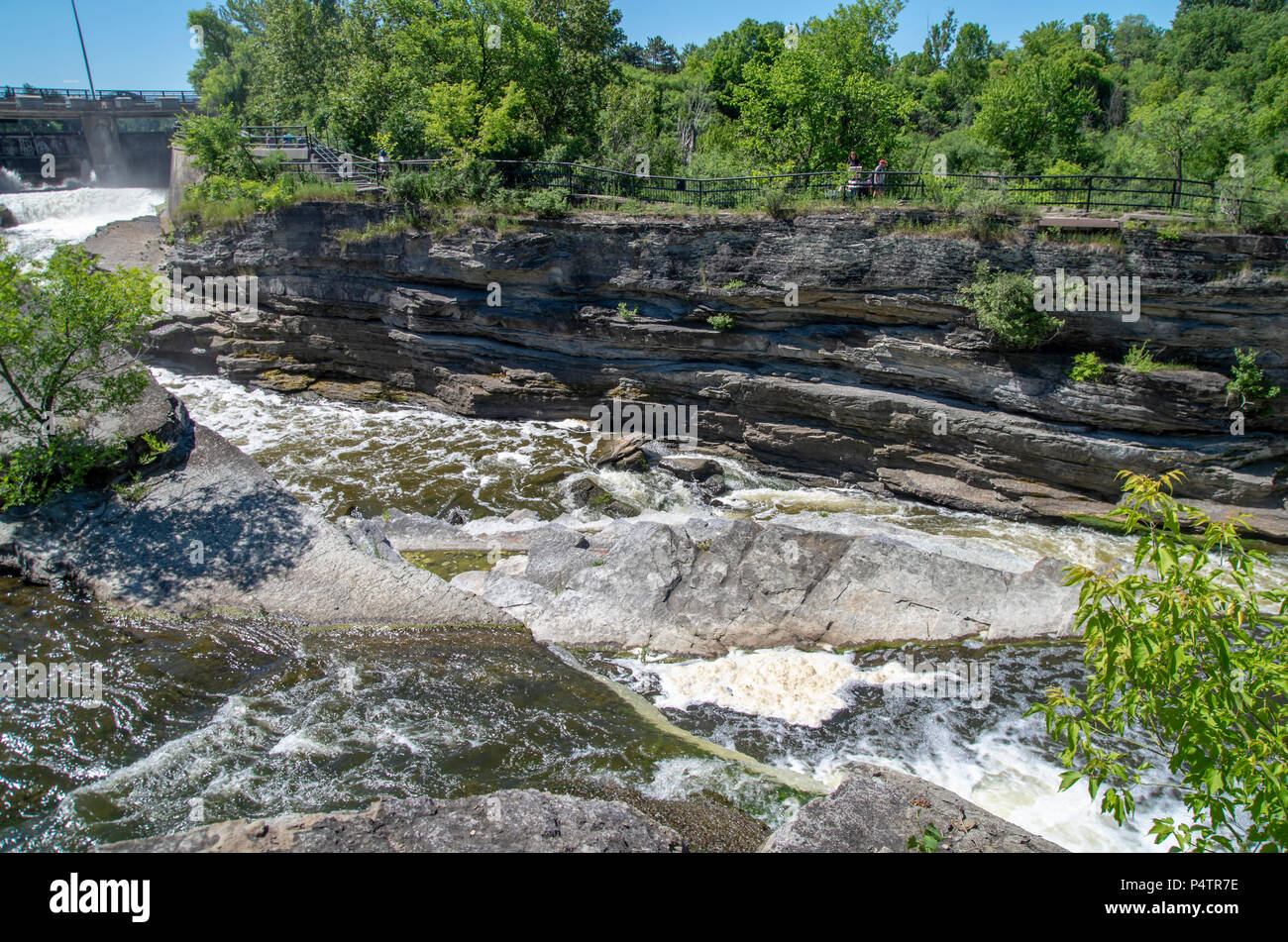 Hog’s Back Park was developed in the 1950s, and it occupies an area of ...