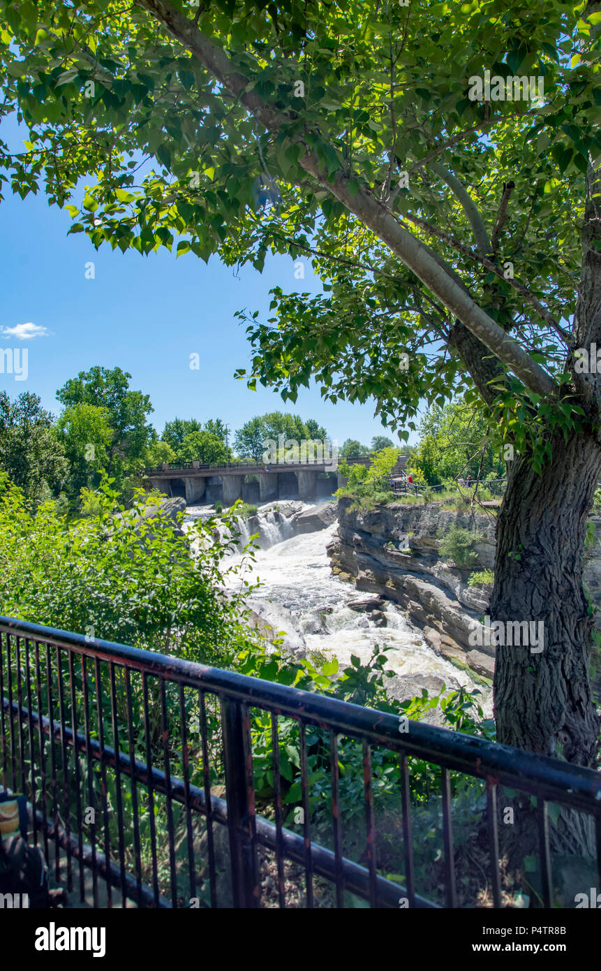 Hog’s Back Park was developed in the 1950s, and it occupies an area of ...