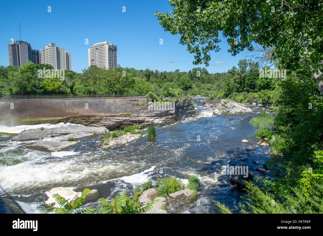 Hog’s Back Park was developed in the 1950s, and it occupies an area of ...