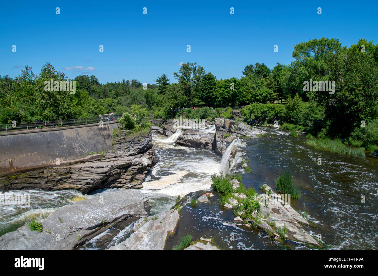 Hog’s Back Park was developed in the 1950s, and it occupies an area of ...