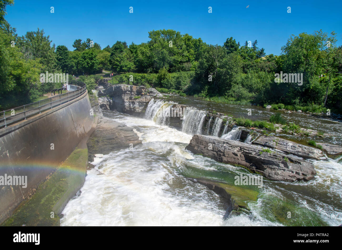 Hog’s Back Park was developed in the 1950s, and it occupies an area of ...