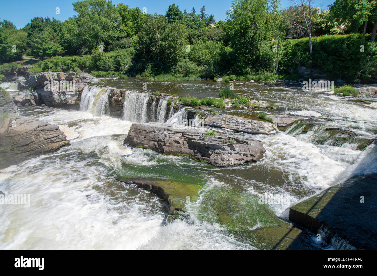 Hog’s Back Park was developed in the 1950s, and it occupies an area of ...