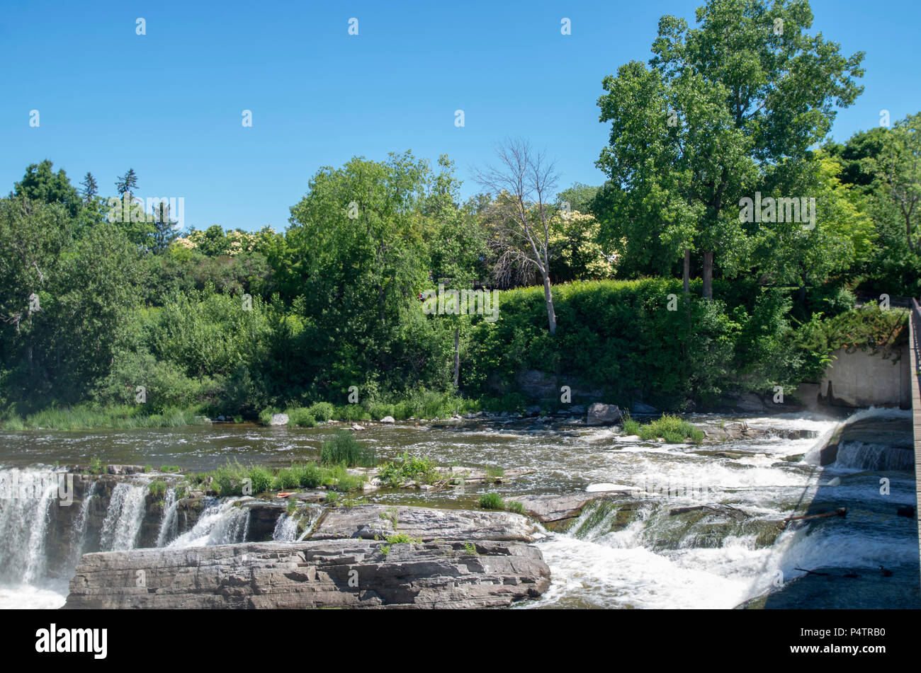 Hog’s Back Park was developed in the 1950s, and it occupies an area of ...