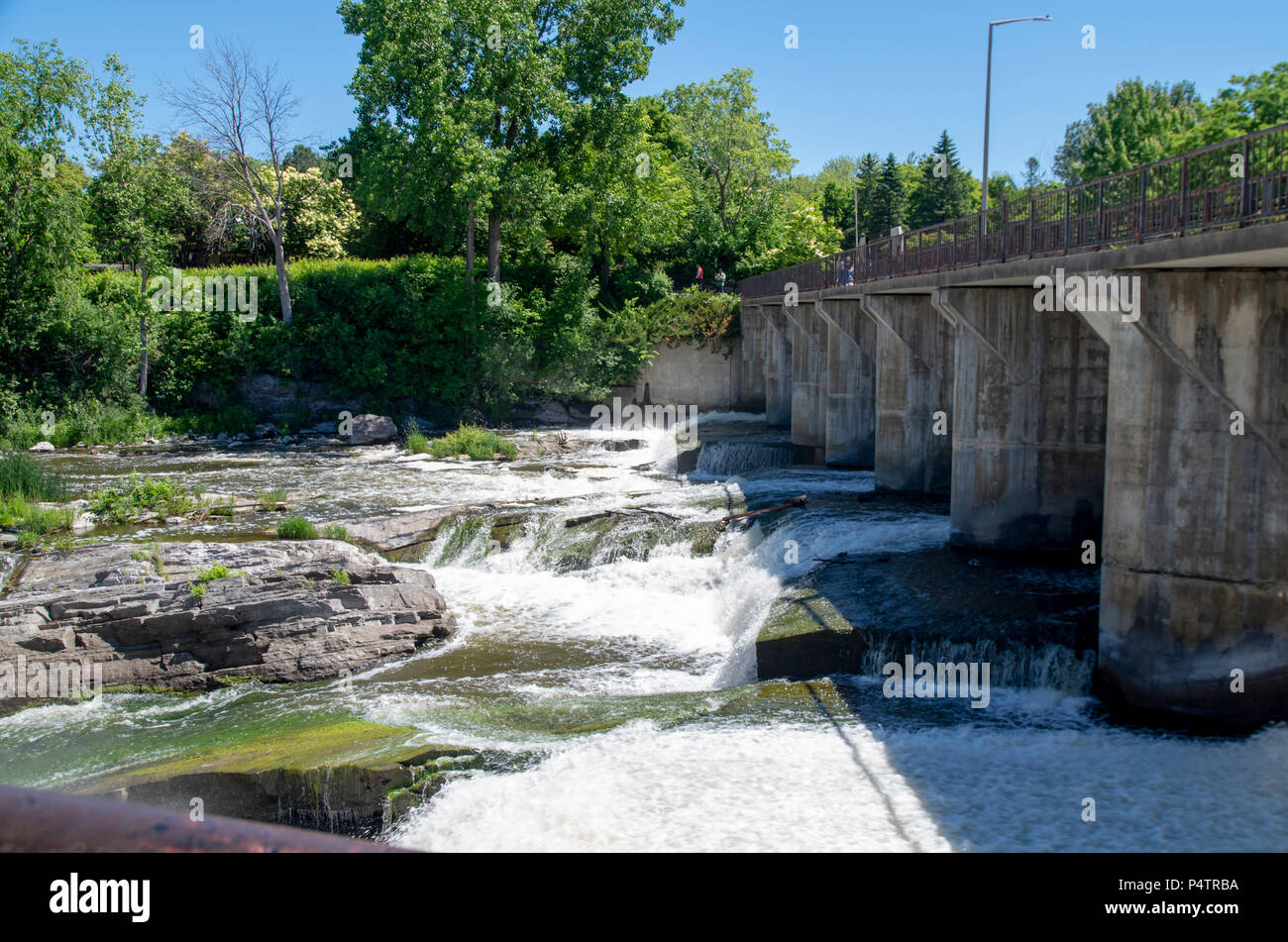 Hog’s Back Park was developed in the 1950s, and it occupies an area of ...