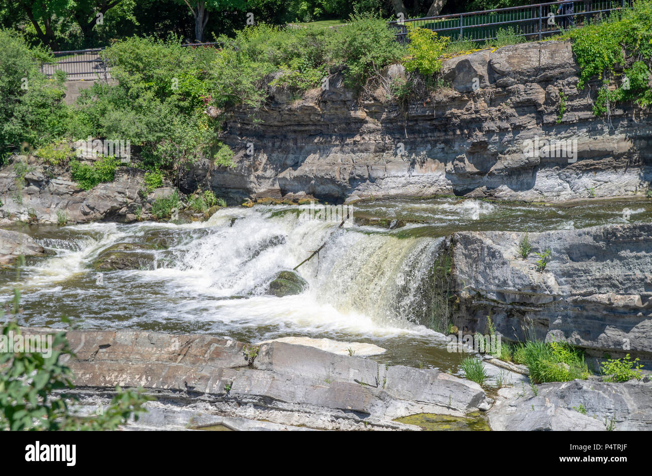 Hog’s Back Park was developed in the 1950s, and it occupies an area of ...