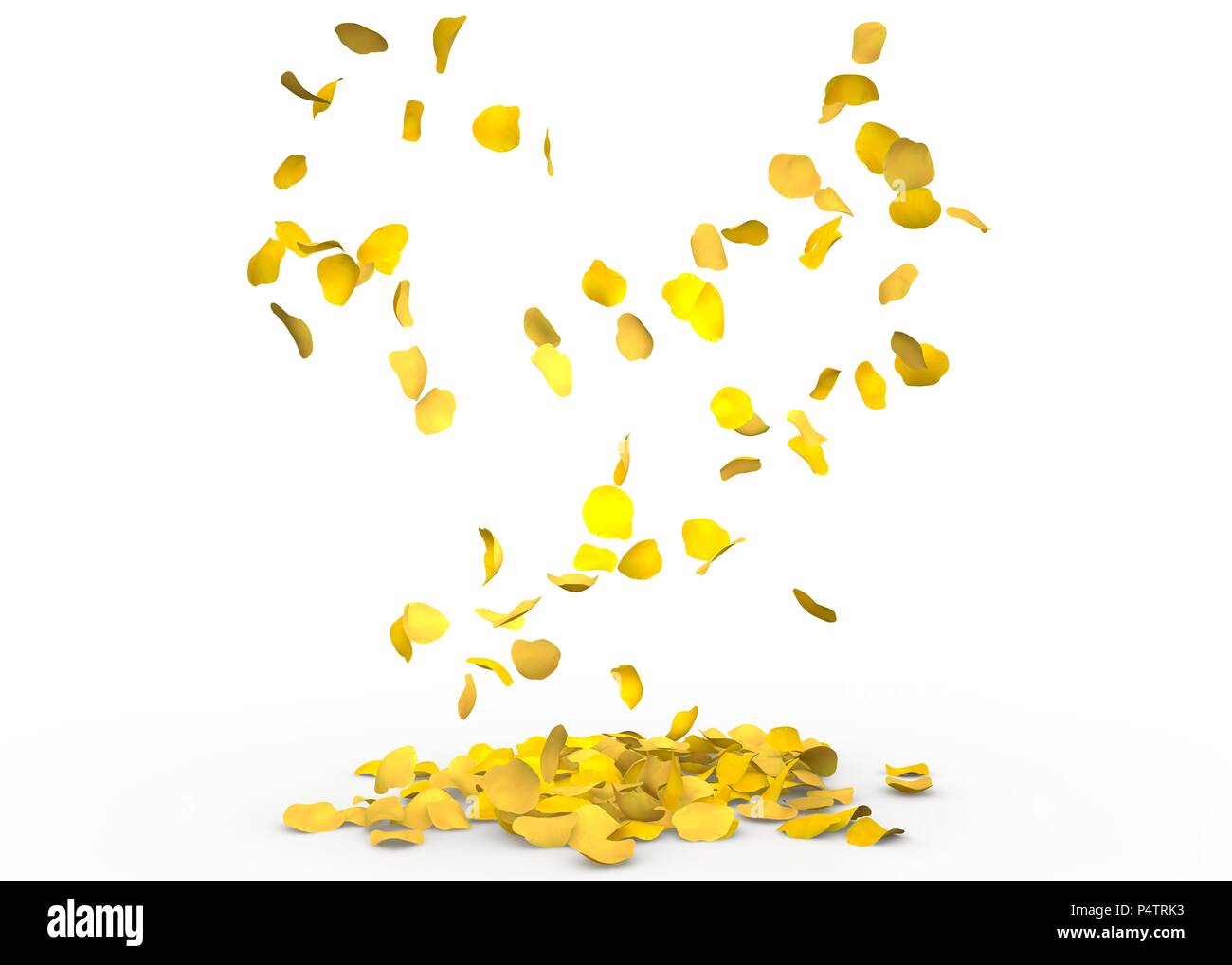 Rose petals fall to the floor. Isolated background Stock Photo - Alamy