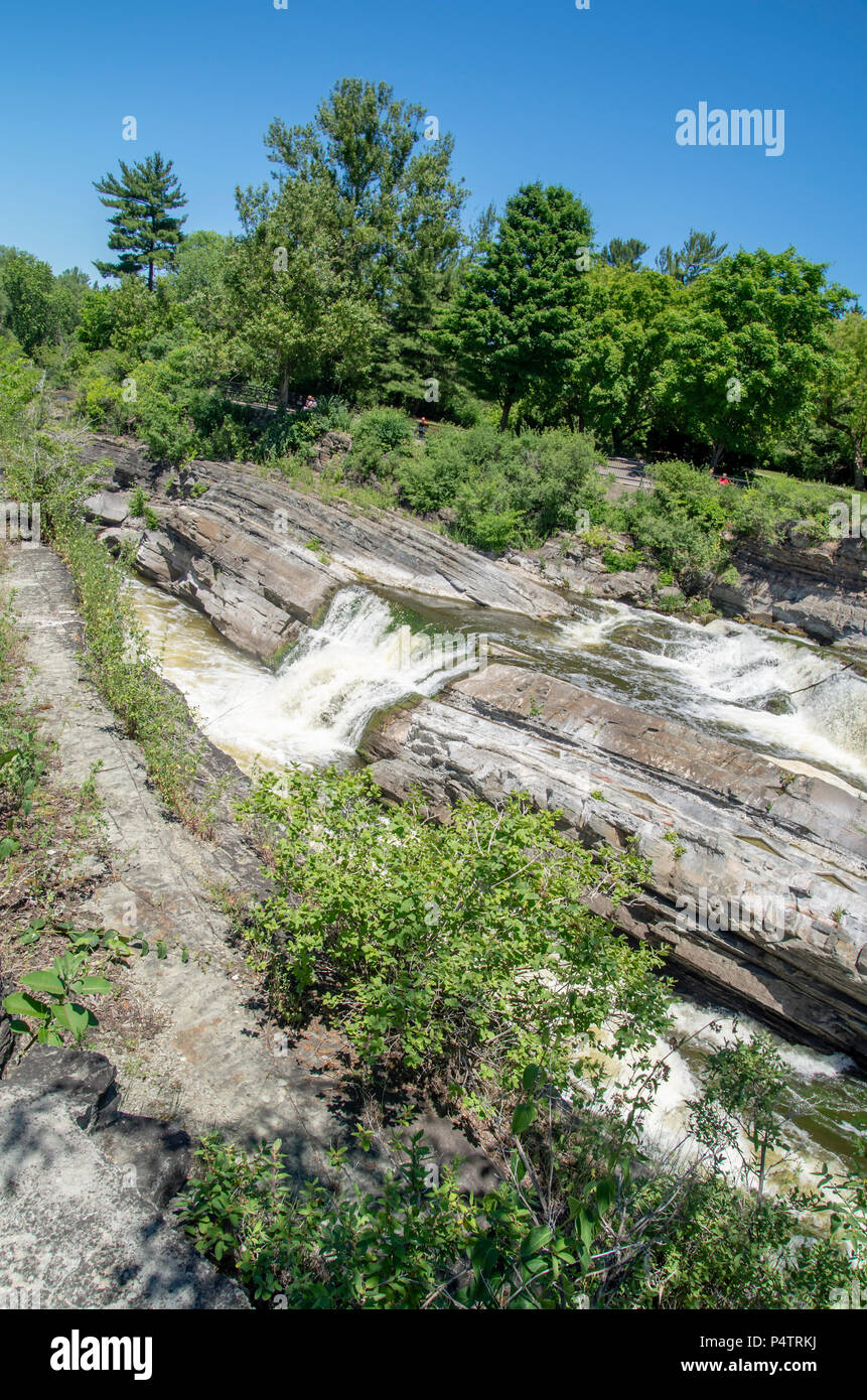 Hogs back park prince wales hi-res stock photography and images - Alamy