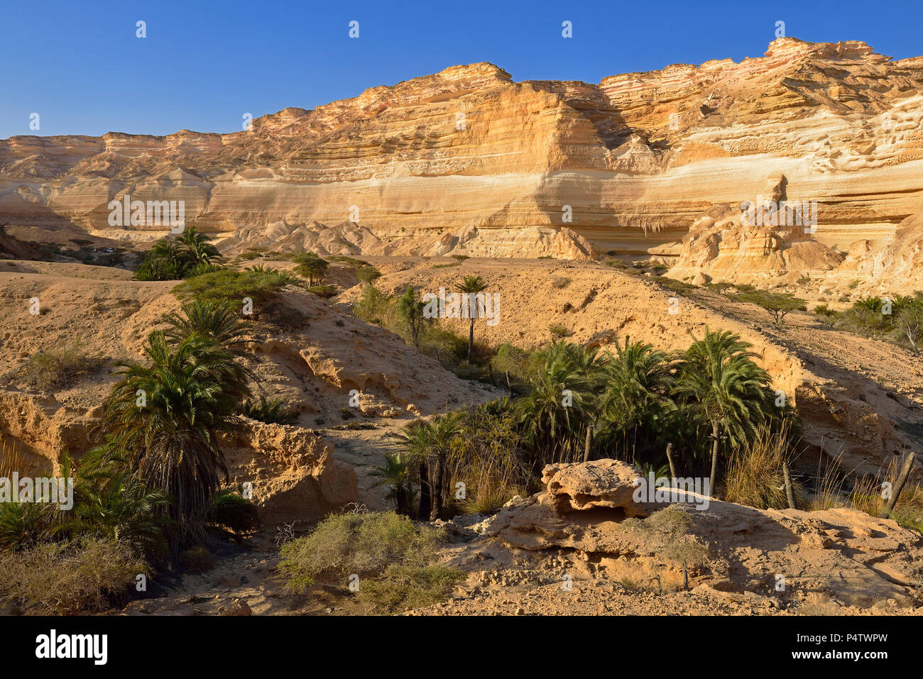 Limestone canyon hi-res stock photography and images - Alamy