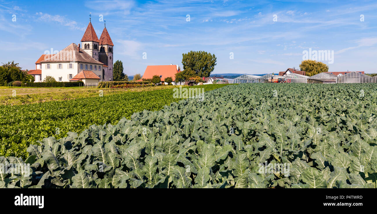 Reichenau island hi-res stock photography and images - Alamy