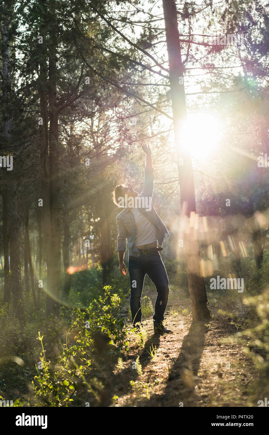 Solitary young male against the light hi-res stock photography and ...