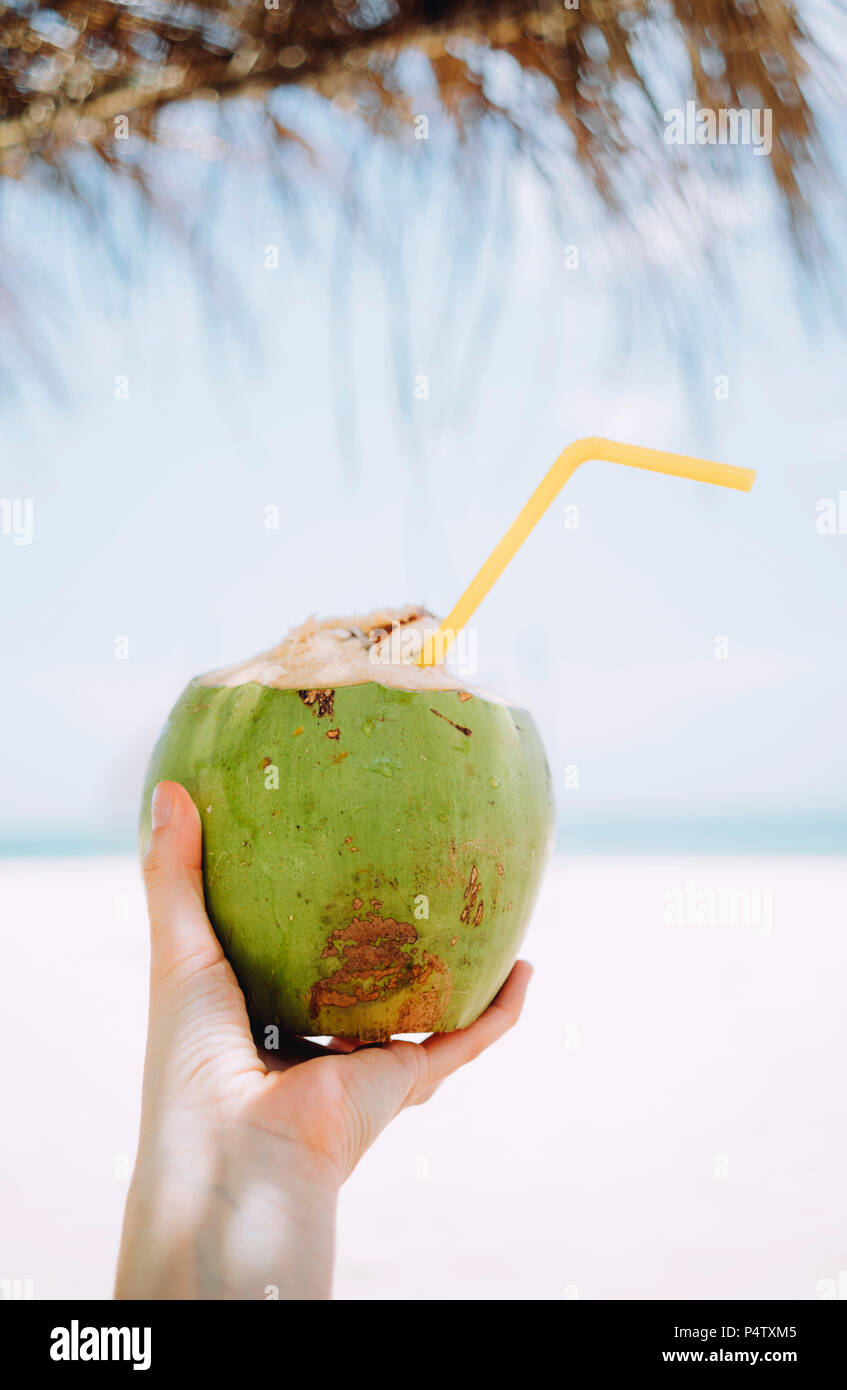 Hand holding coconut hi-res stock photography and images - Alamy