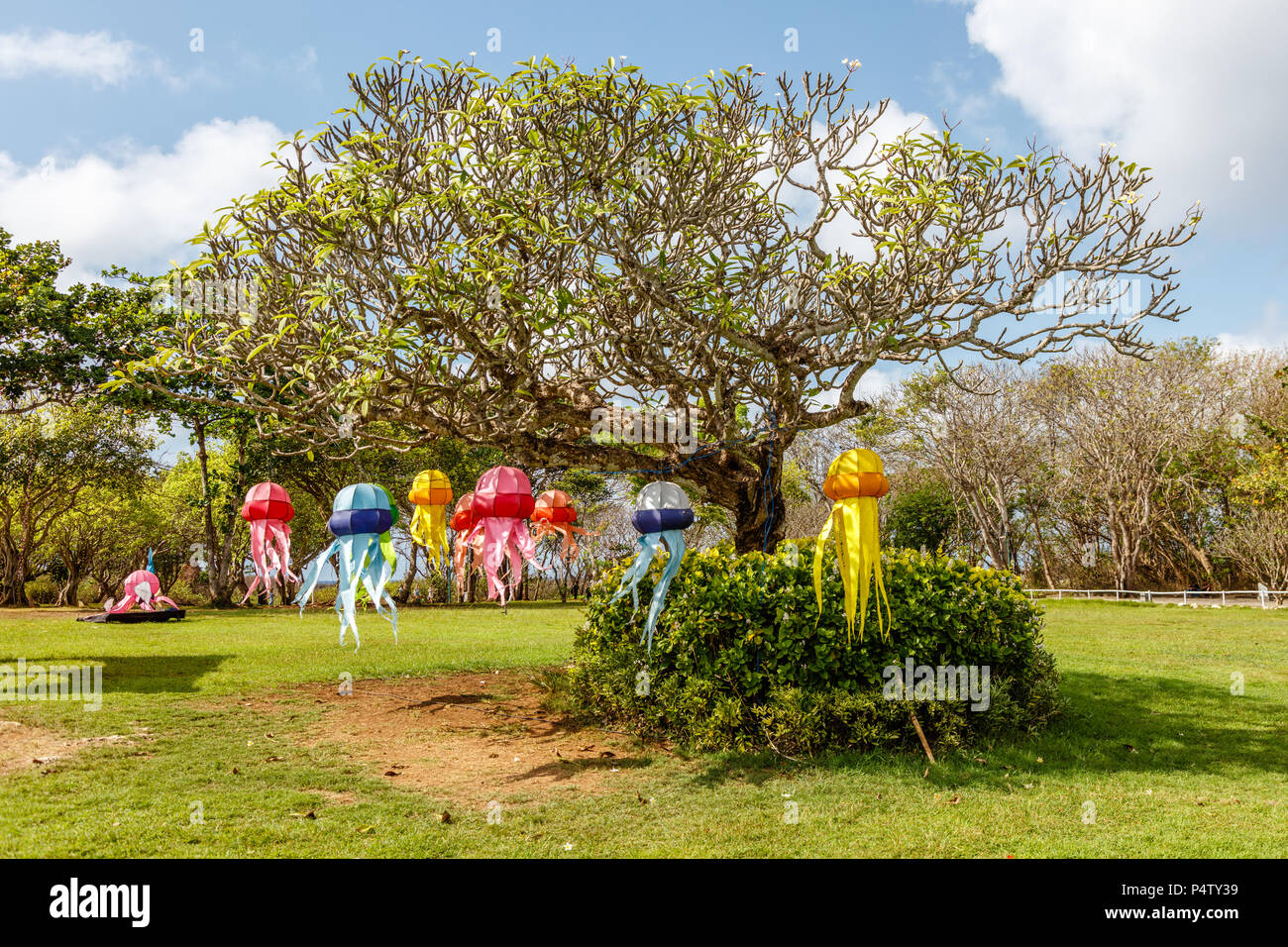 Jelly fish shaped lights on a tree for Nusa Dua light festival. Ocean ...