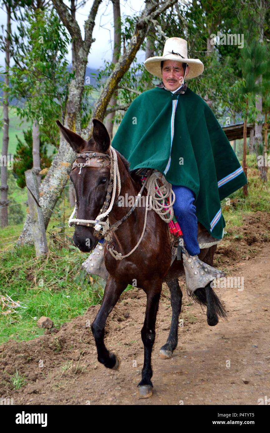 Race - Fiestas de San Francisco de Asis in PULUN " Las Huaringas ...