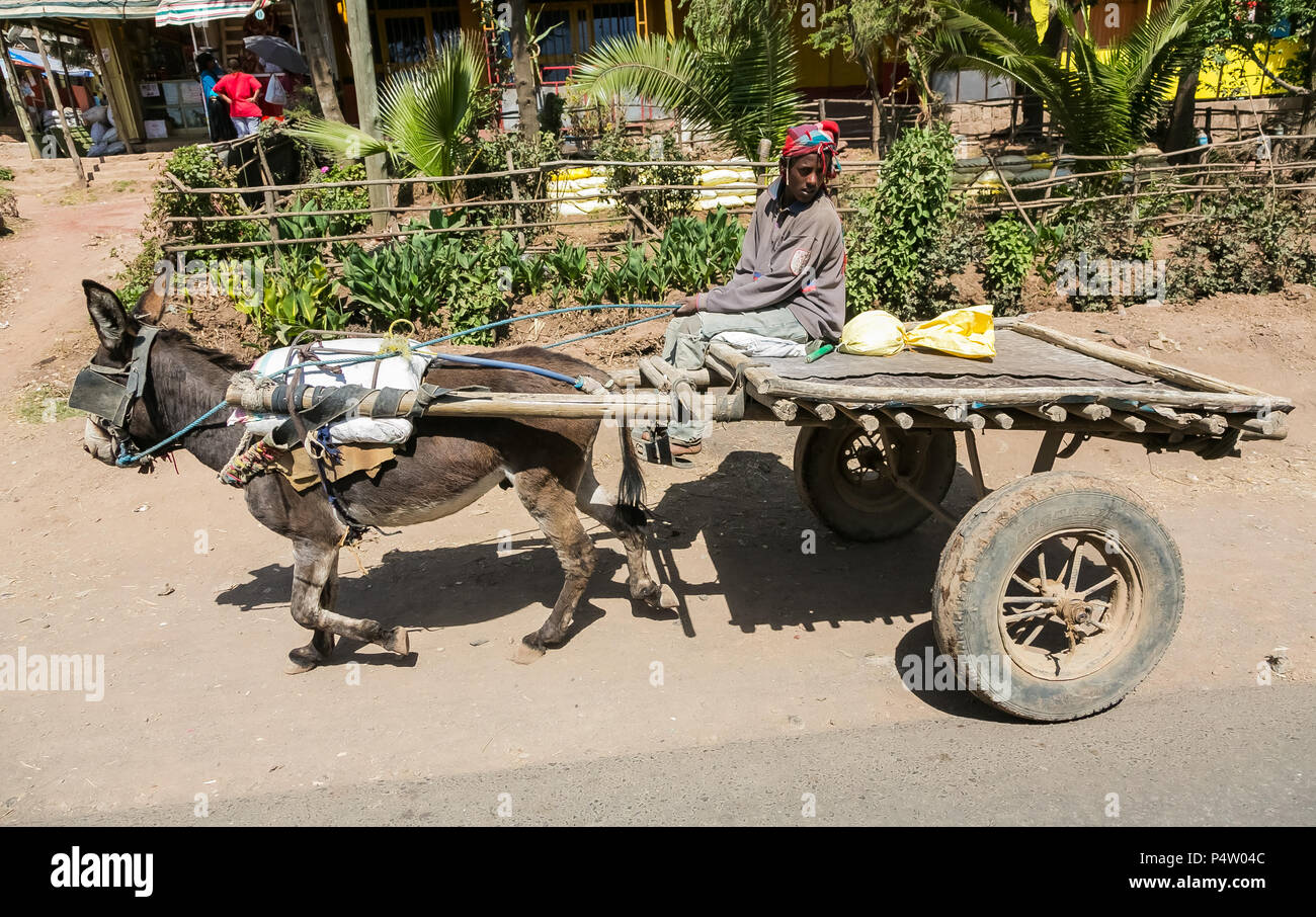 Addis Ababa, Ethiopia, January 30, 2014, African woman riding a donkey ...
