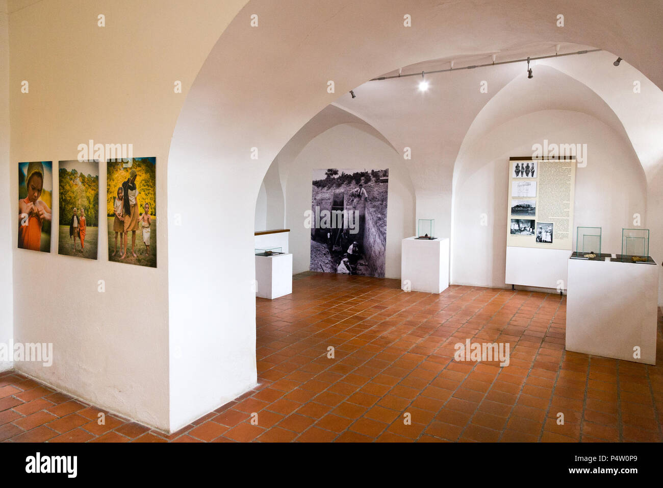 The venus of dolni vestonice hi-res stock photography and images - Alamy