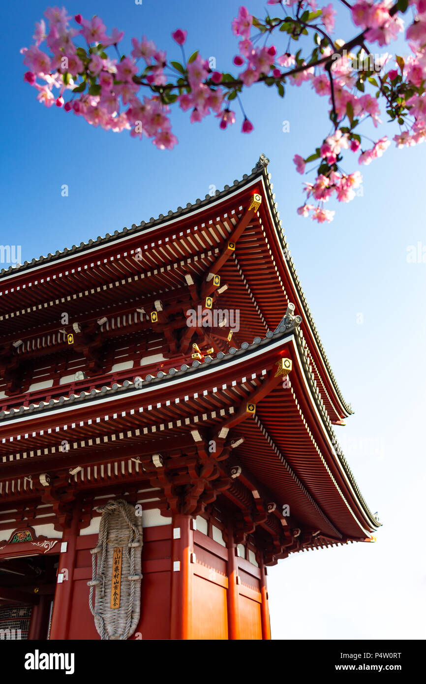 Cherry blossom japanese red temple hi-res stock photography and images ...