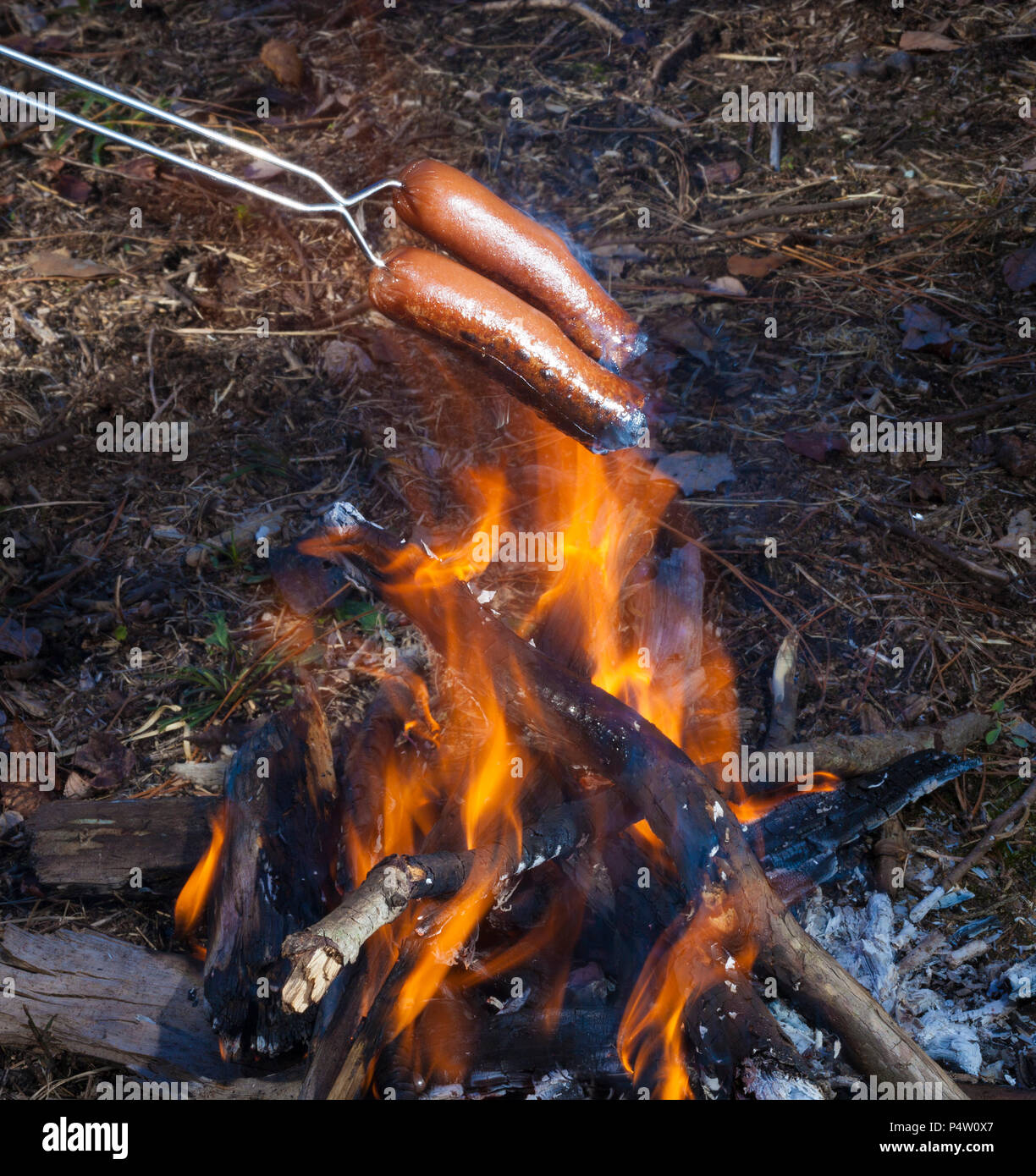 Hot dogs over a small campfire that are starting to burn Stock Photo ...